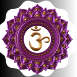 7 Chakras - Colors, Beej Mantra, and How to Unlock Them - Blog | RYS